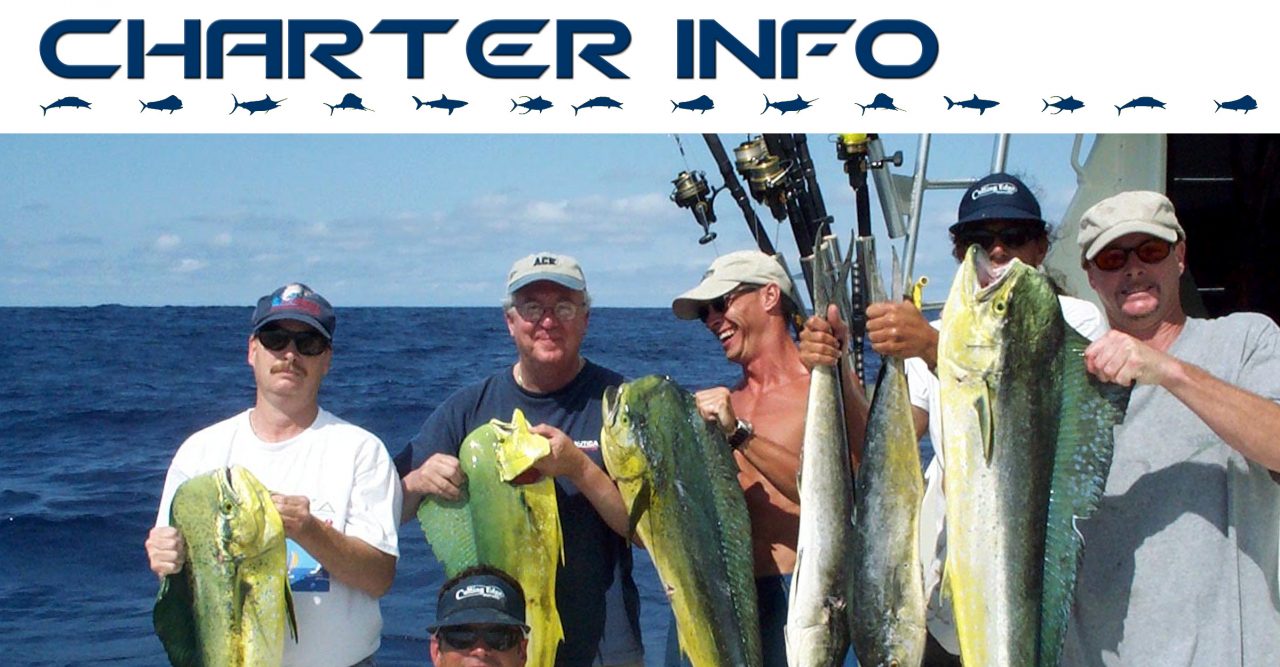 Charter Info & Rates | Miami Charter Fishing - Cutting Edge